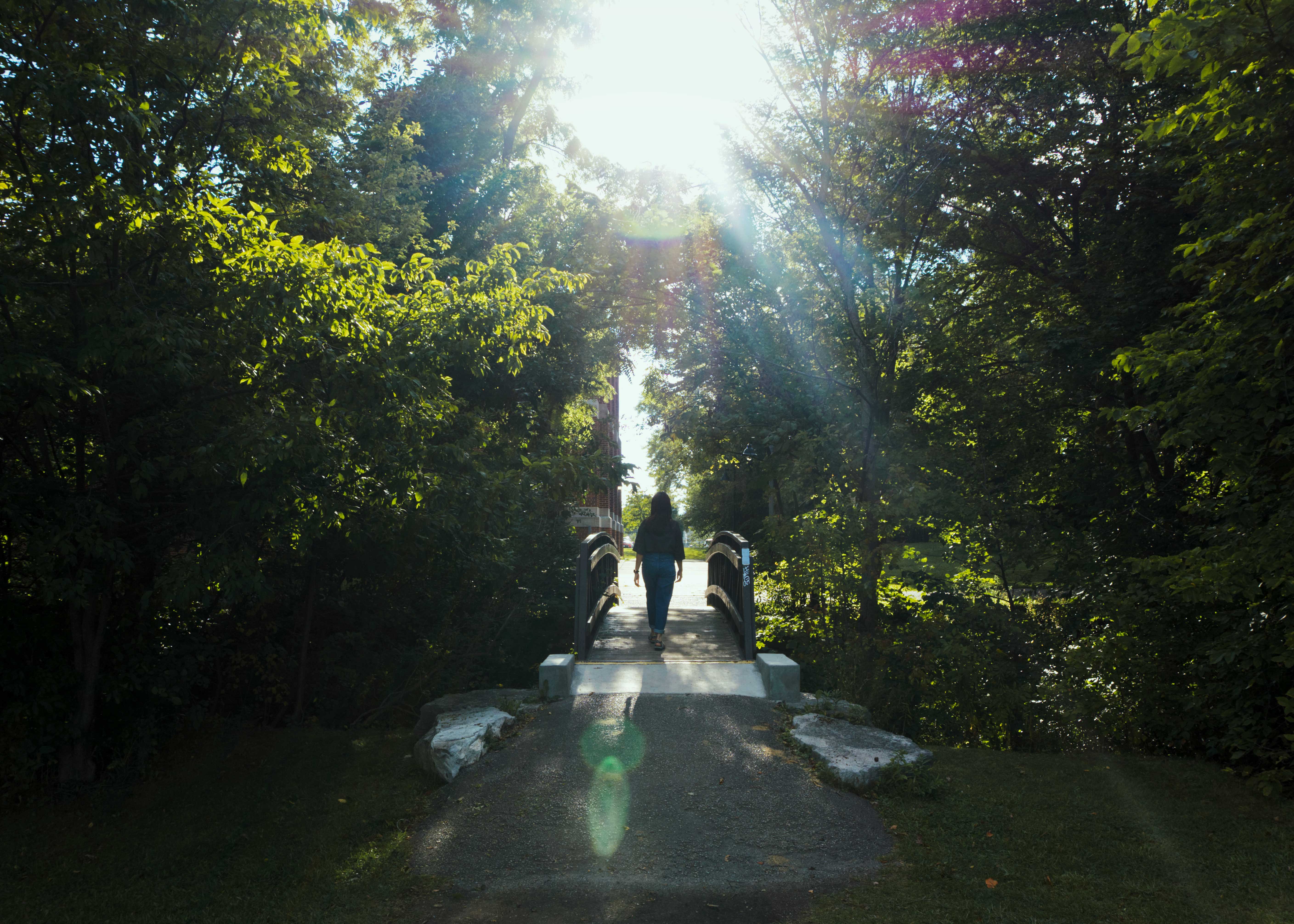 TANIA CREATES – Marketing and Designing for your needs